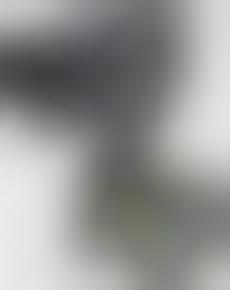 Spy Cam Guns : Pistol-Shaped Night Vision Camera