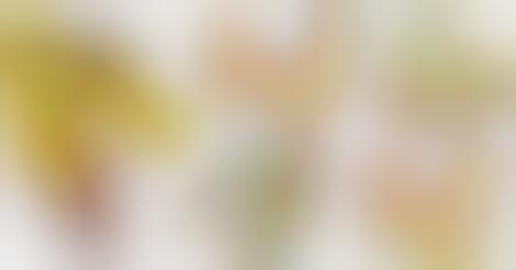 Top 42 Functional Shoes