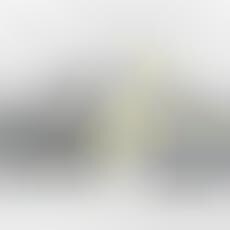 Spokeless Bicycle Wheels: Moon Discs