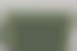 EcoFriendly Pillows: Looolo Cushions Dissolve In The Compost