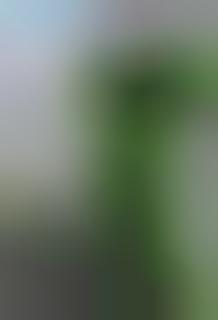 Bicycle Vending Machine: BikeDispenser.com