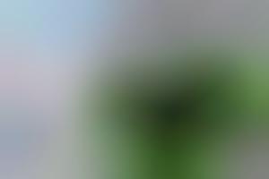 Bicycle Vending Machine: BikeDispenser.com