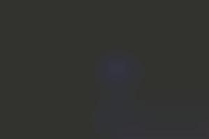 Pear-Tree Lighting: Pick Your Light Off A Tree