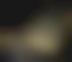 Opulent Medical Gadgets: Gold Hearing Aid, Bling Asthma Inhaler