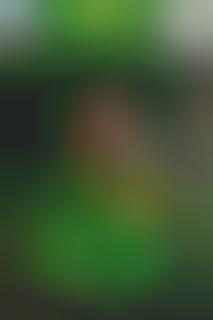 Customizable Fan Apps : Fan Face app