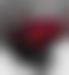 Boxing Ring Beds : The Throwdown Bed