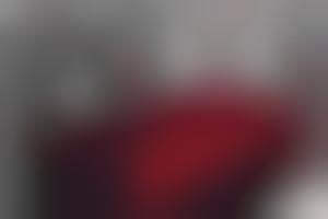 Boxing Ring Beds : The Throwdown Bed