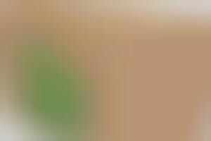 Seed-Embedded Packaging : Life box