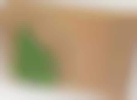 Seed-Embedded Packaging : Life box