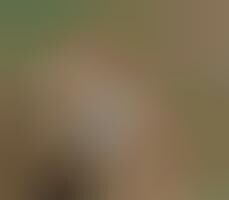 LEGO Escher Recreations : LEGO M C Escher