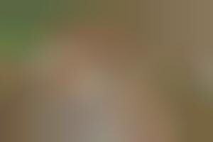 LEGO Escher Recreations : LEGO M C Escher