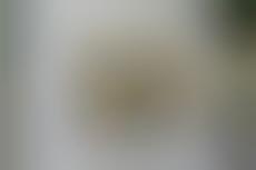 Mini Mobile Living Campers : lehman b supertramp