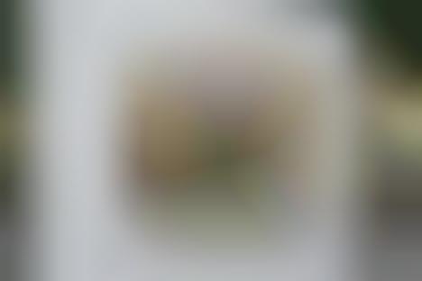 Mini Mobile Living Campers : lehman b supertramp