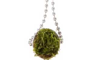 Potted Plant Necklaces : growing jewelry house
