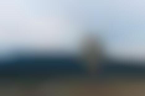 Massive Pixelated Mammals : Pixel Orca Sculpture