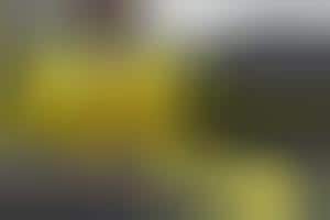 Spilled Condiment Cushions : Mustard Spill Pillow