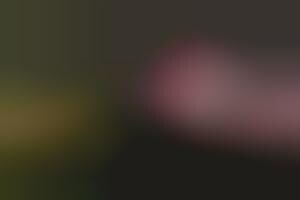 Meaty iPhone Sleeves : iPhone Bacon Case