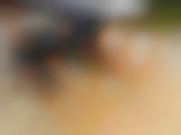 30 Modern Gardening Tools