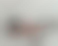 Bendable Trikes : Velorian