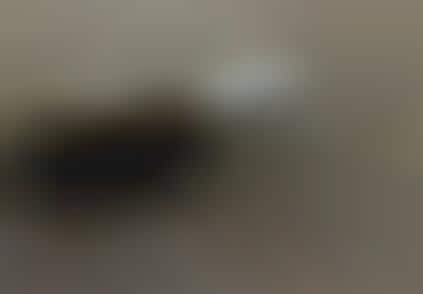 16 Wickedly Disguised Weapons