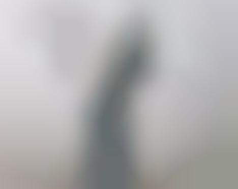 Reflectionless Mirrors : No Reflection Ghost Mirror