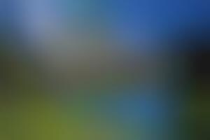 Contemporary Courtyard Homes : Tangga House by Guz Architects