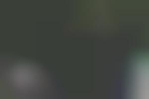 Energy-Bringing Batons : amega amwand