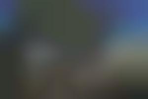 Shipping Container Party Venues : Boxman Studio's