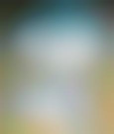 Social Media Layout Cards : Twitter Business Card