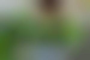 Blinding Neon Stations : Beta Workplace System