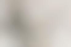 Live-Saving Toasters : Shay Carmon