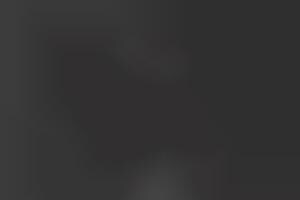 Trippy Ecosystem Art : Tom Beddard