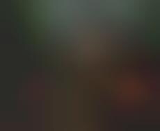 Transgendered Tribal Shoots : Bindi Cole