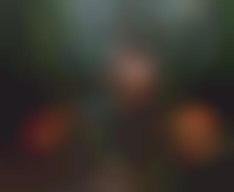 Transgendered Tribal Shoots : Bindi Cole