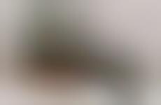 Zombie-Fighting Gadgets : Vampire Killing Kits