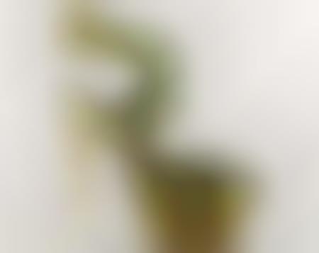 50 Candy-Coated Products