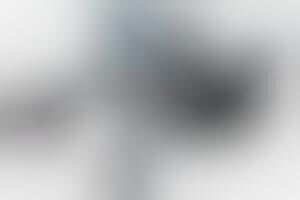 Cute Cleaning Bots : WowWee Roboscooper