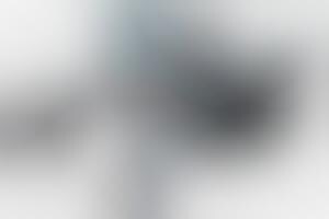 Garbage-Disposing Robots : The Roboscooper