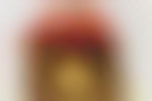 Disfigured Game Characters : Super Mario munnys