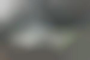 Poop-Powered Cars : Bio Bug