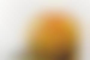 Tasty Food Peripherals : Hamburger USB Memory