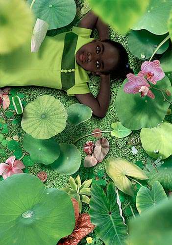 Painting-Like Photography : Rudd van Empel