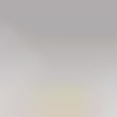 Tree-Like Toasters : Transparent Tree Toaster