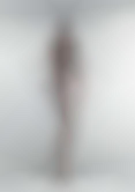 Personality-Morphing Photography : Identity from Blanq