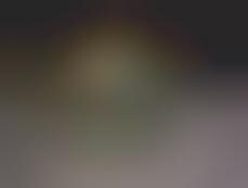 Eco Metallic Adornments : Michelle Kohlberg