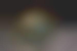 Eco Metallic Adornments : Michelle Kohlberg