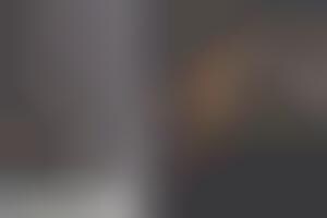 Spaceship Showers : Orbis Shower