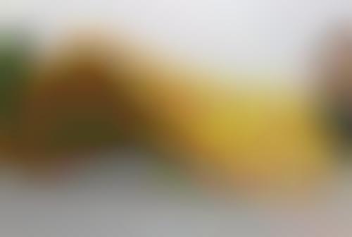 100 Contemporary Curvilinear Structures