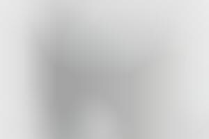 Leggy Espresso Machines : Espresso on Four Legs