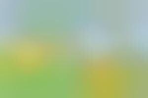 Gamer Change Pouches : Super Mario Coin Purse